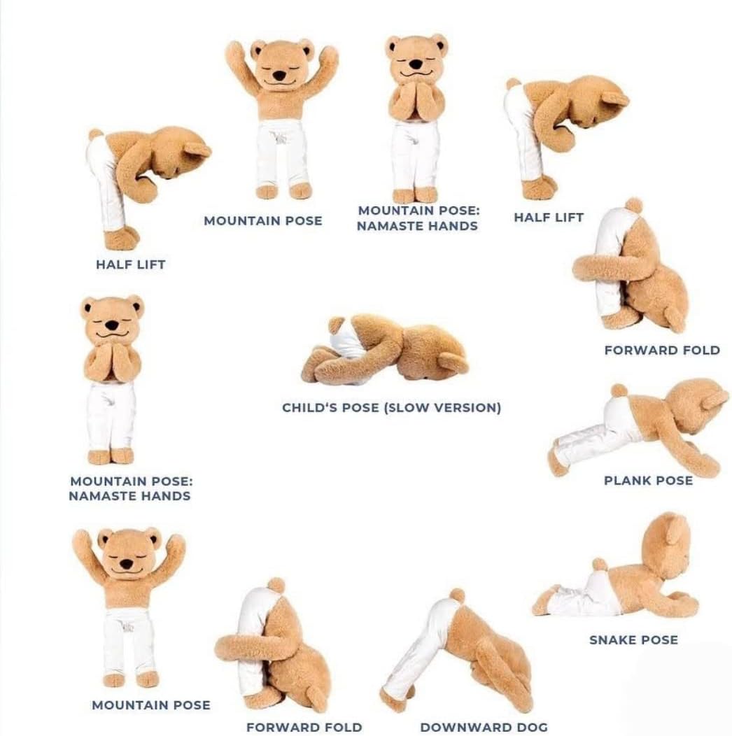 Meddy Teddy The Yoga Bear – Build Your Ideas