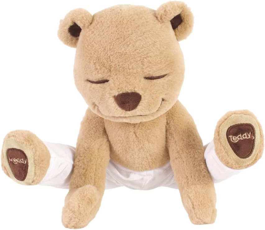 Meddy Teddy The Yoga Bear – Build Your Ideas